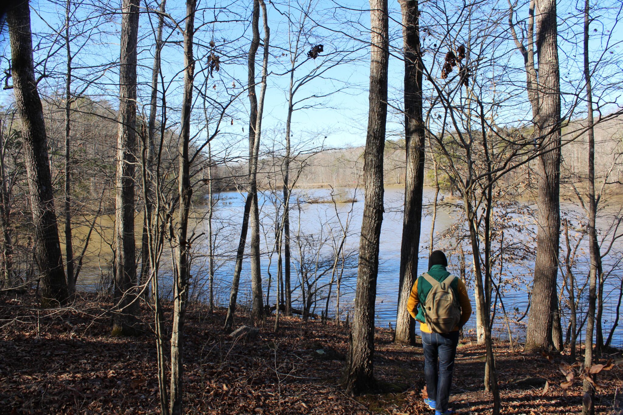 Laurel Bluff Trail - NC Triad Outdoors