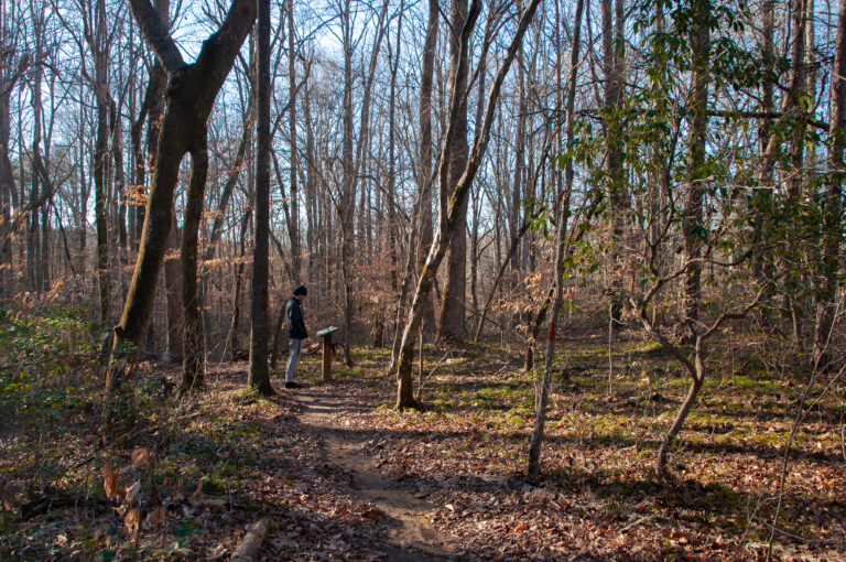 Bold Moon Preserve - https://nctriadoutdoors.com