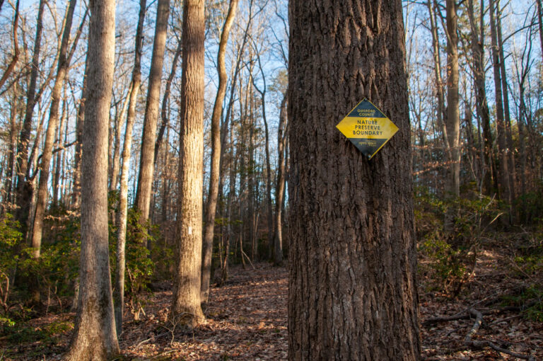 Bold Moon Preserve - https://nctriadoutdoors.com