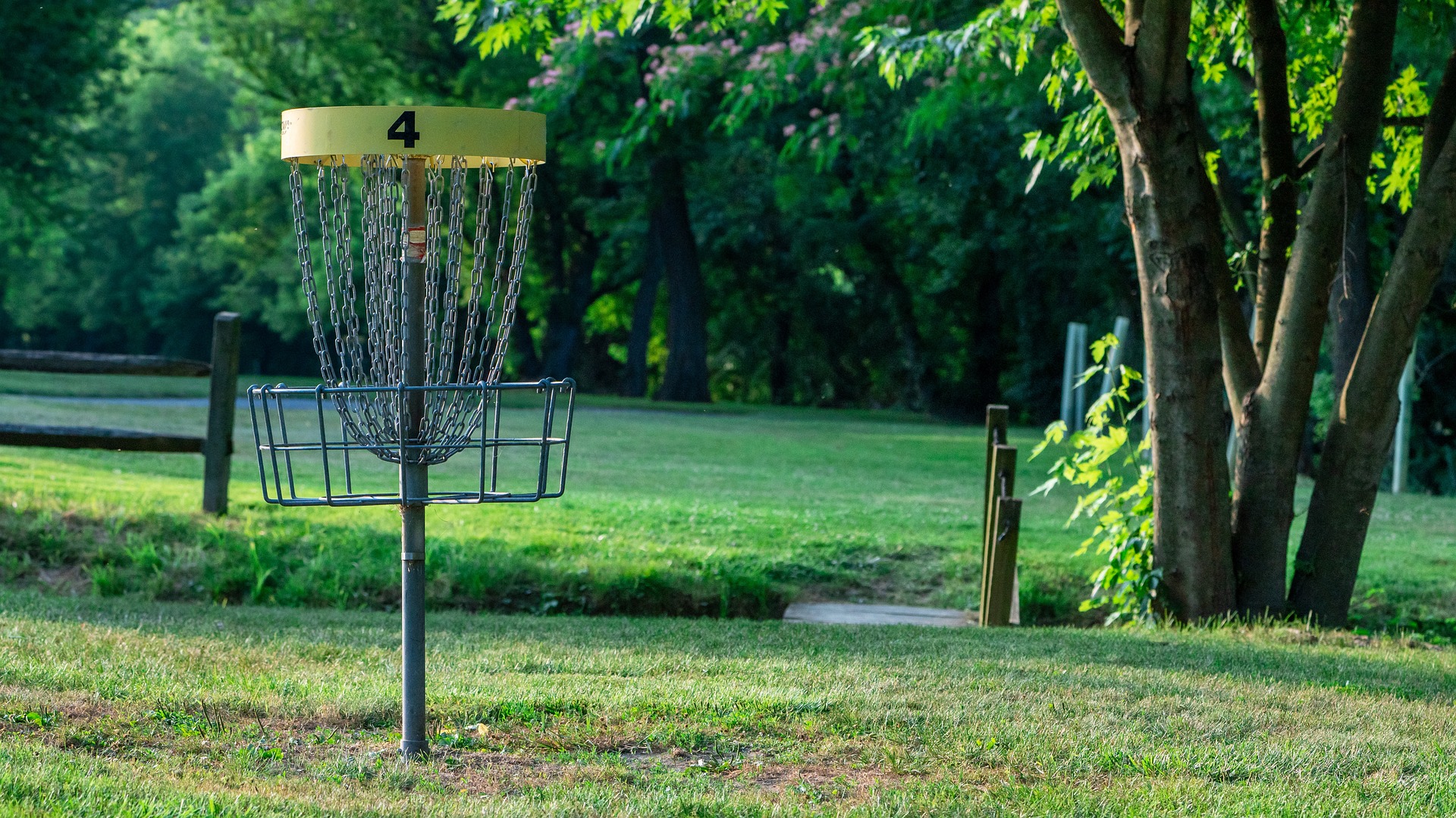 The Fun, and Community, of Disc Golf | https://nctriadoutdoors.com